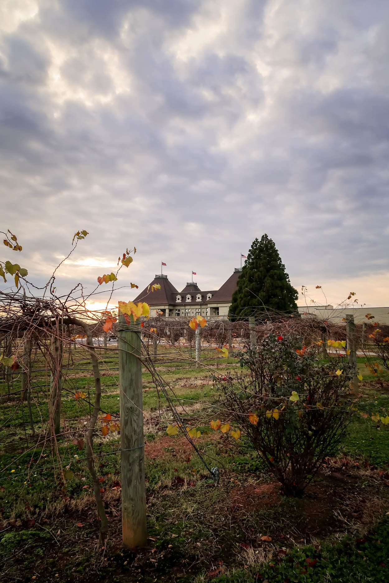 A Staycation at Château Élan Winery and Resort | Simply Stine